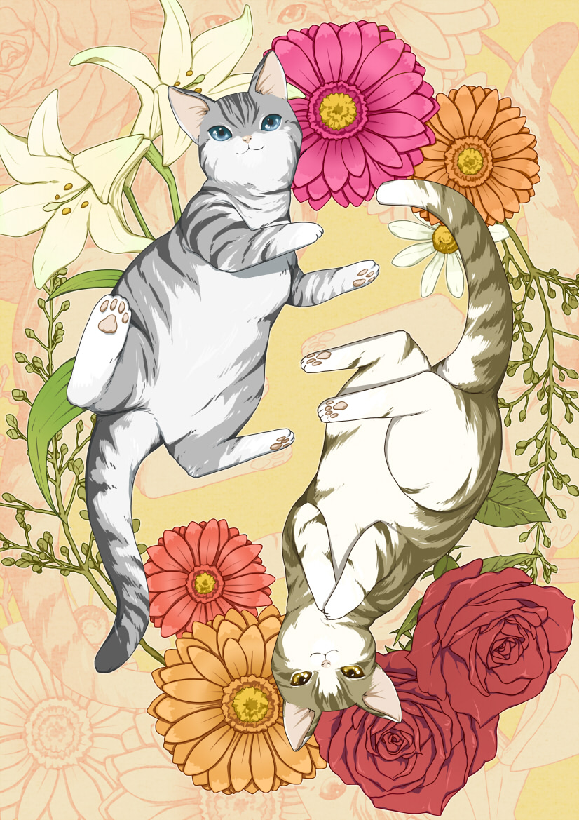 Safebooru - cat cat ears flower original paws tail toudou charo tr | 555173