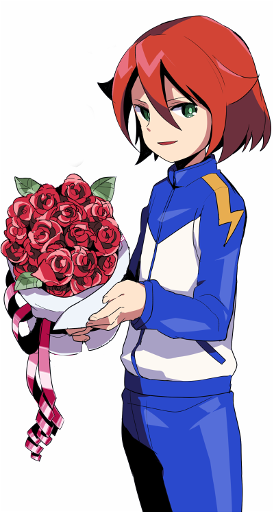 Safebooru - flower green eyes hidaka inazuma eleven inazuma eleven ...