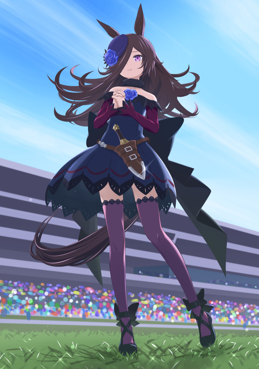 Safebooru - 1girl 32zzz animal ears black footwear blue dress blue flower blue hat blue rose ...