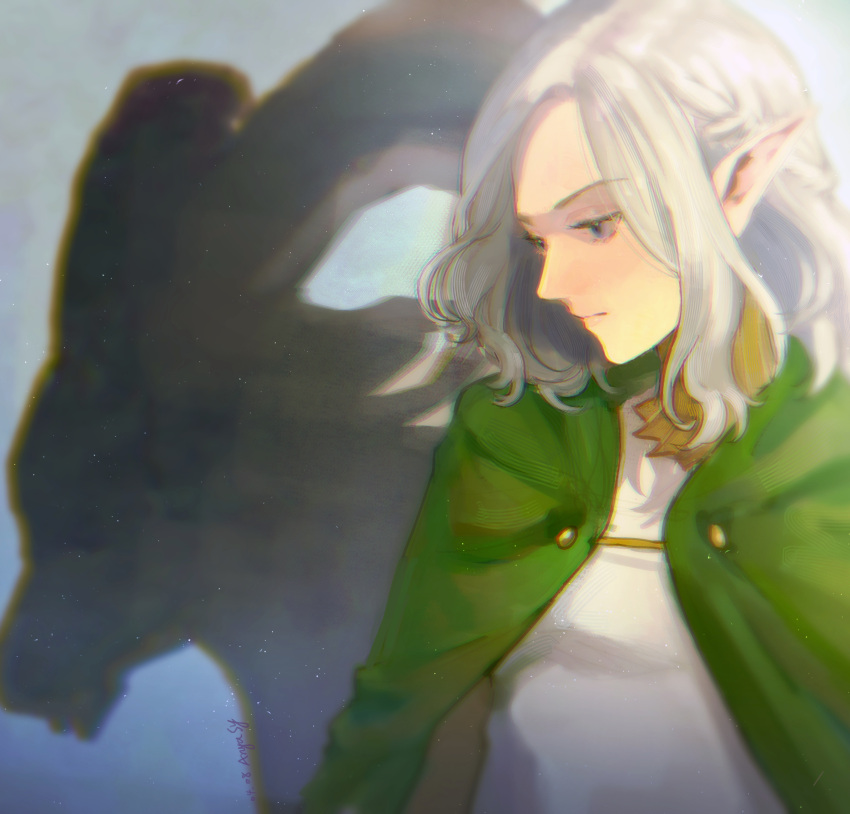 Safebooru - 1boy blurry cloak depth of field different shadow dungeon ...