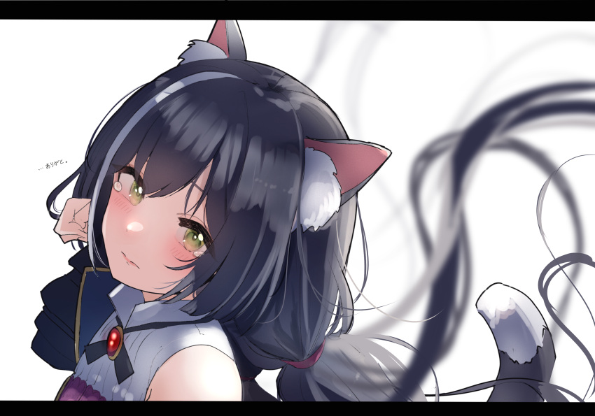 Safebooru - 1girl absurdres animal ear fluff animal ears black hair blue sleeves cat ears cat ...