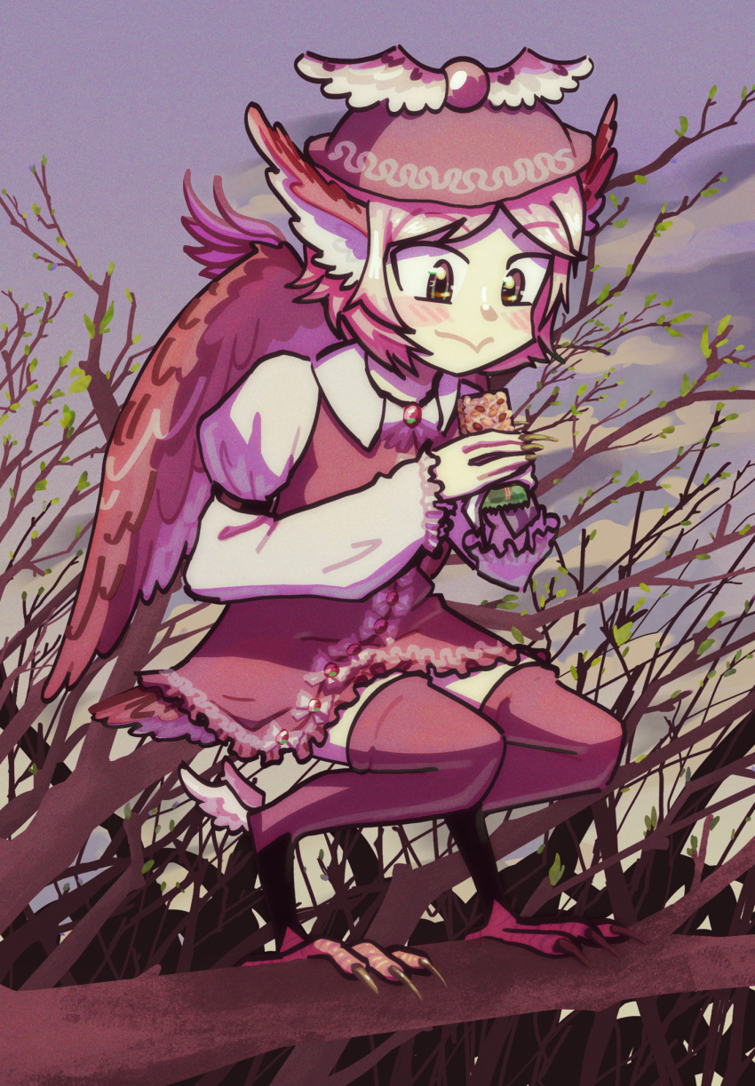 Safebooru - 1girl animal ears bird ears bird girl bird wings dusk ...