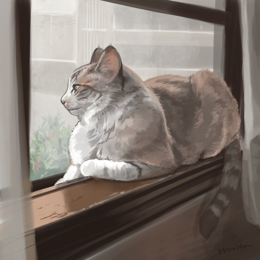 Safebooru - animal focus artist name cat commentary curtains grey cat ...