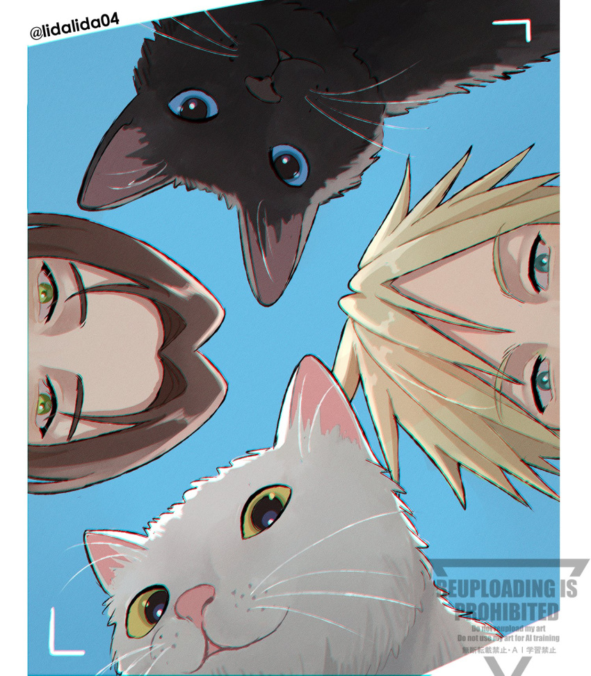 Safebooru - 1boy 1girl aerith gainsborough black cat black fur blonde hair blue background blue ...