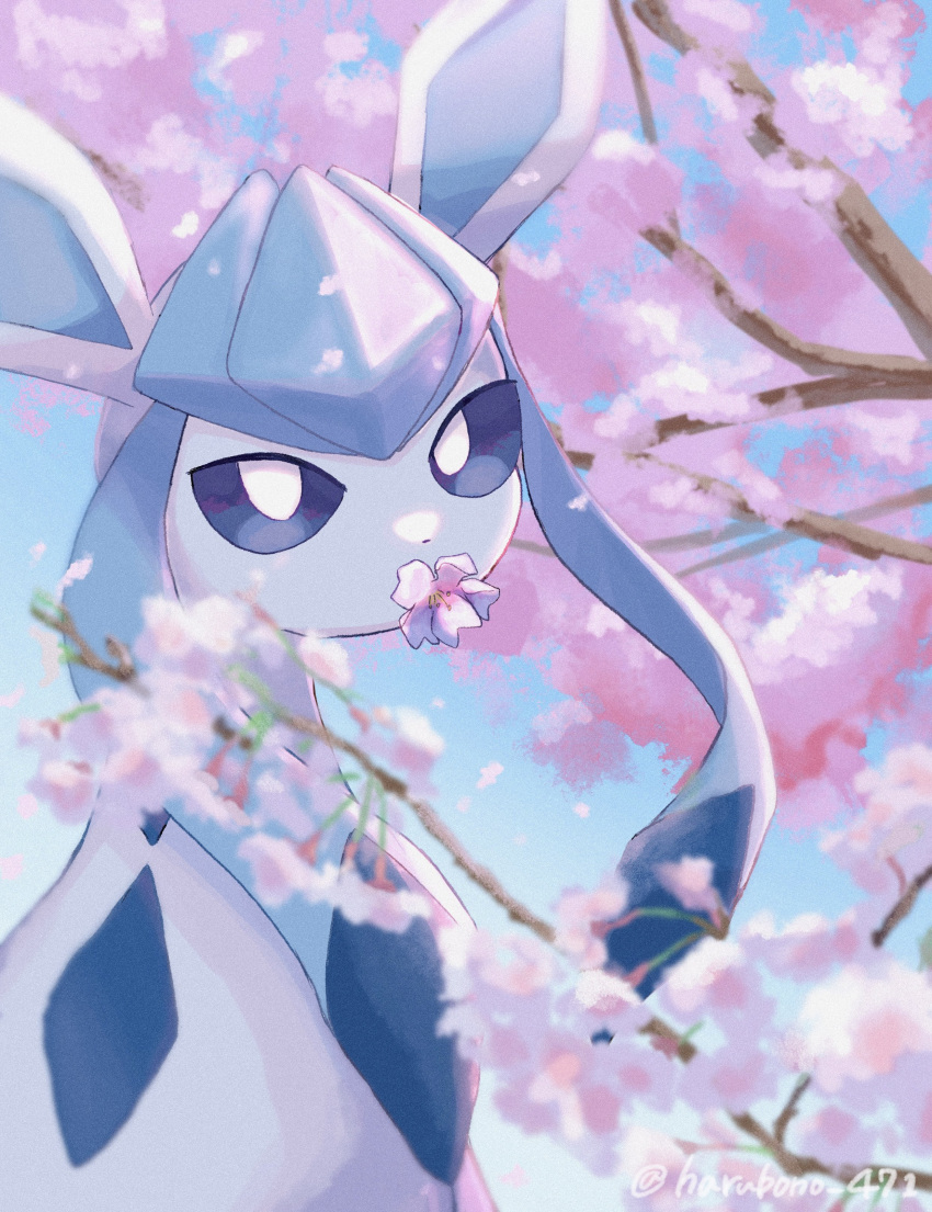 Safebooru - absurdres animal focus blue eyes bright pupils cherry blossoms commentary request ...