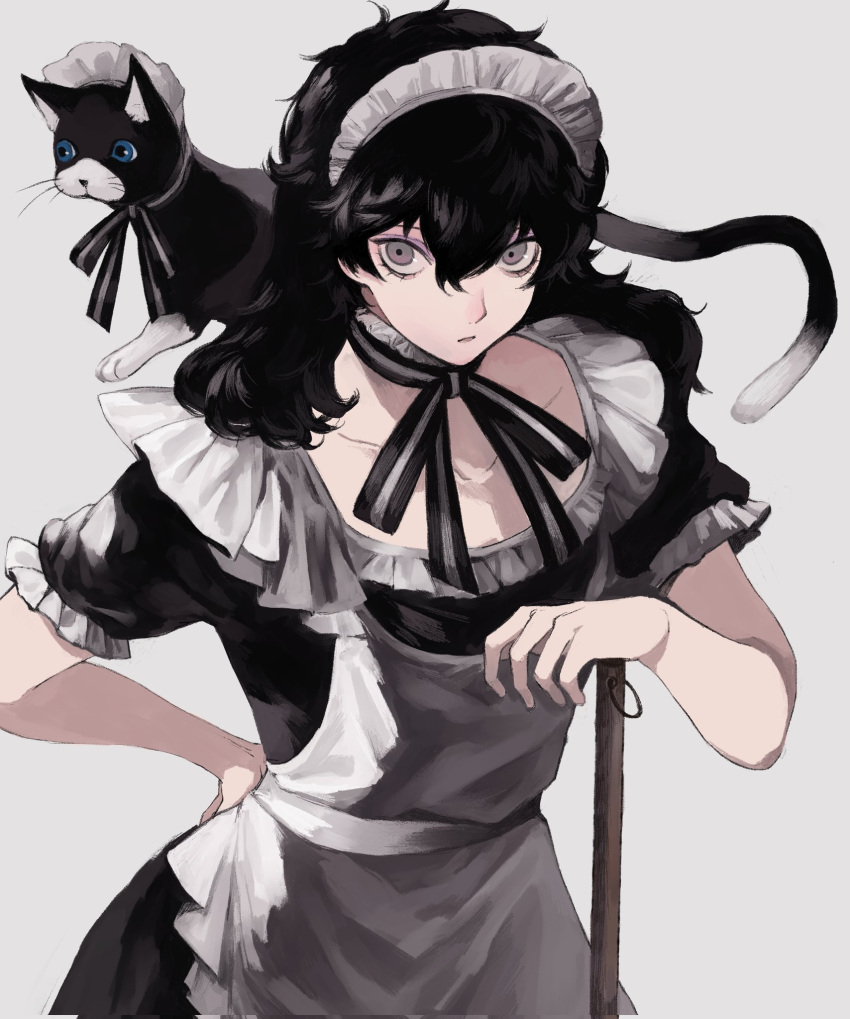 Safebooru - 1boy amamiya ren animal on shoulder apron black cat black dress black hair bow ...