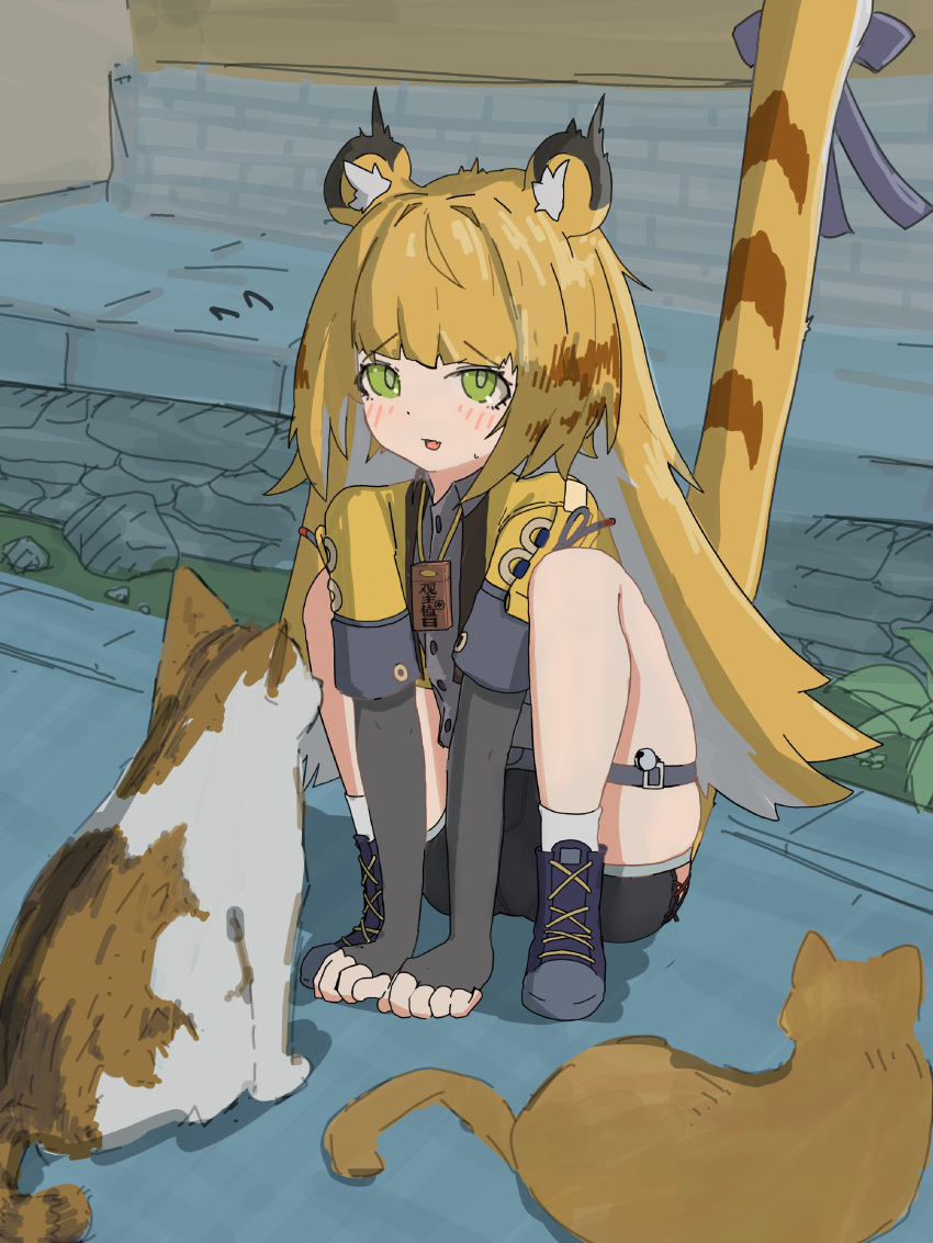Safebooru - 1girl absurdres animal ear fluff animal ears blonde hair cat gloves green eyes ...