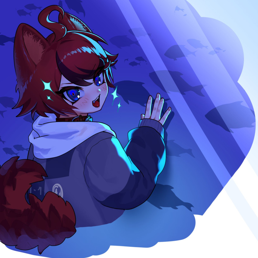 Safebooru - 1boy ahoge animal ear fluff animal ears black hair blue ...