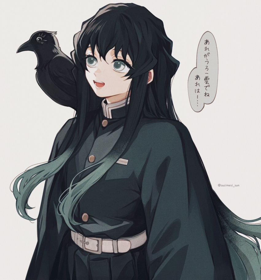 Safebooru - 1boy animal on shoulder aqua hair belt bird bird on ...