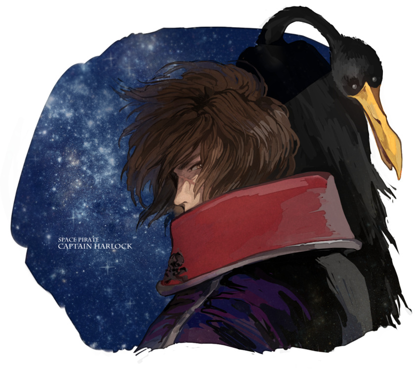 Safebooru - 1boy bird brown hair harlock male mosako scar uchuu kaizoku ...