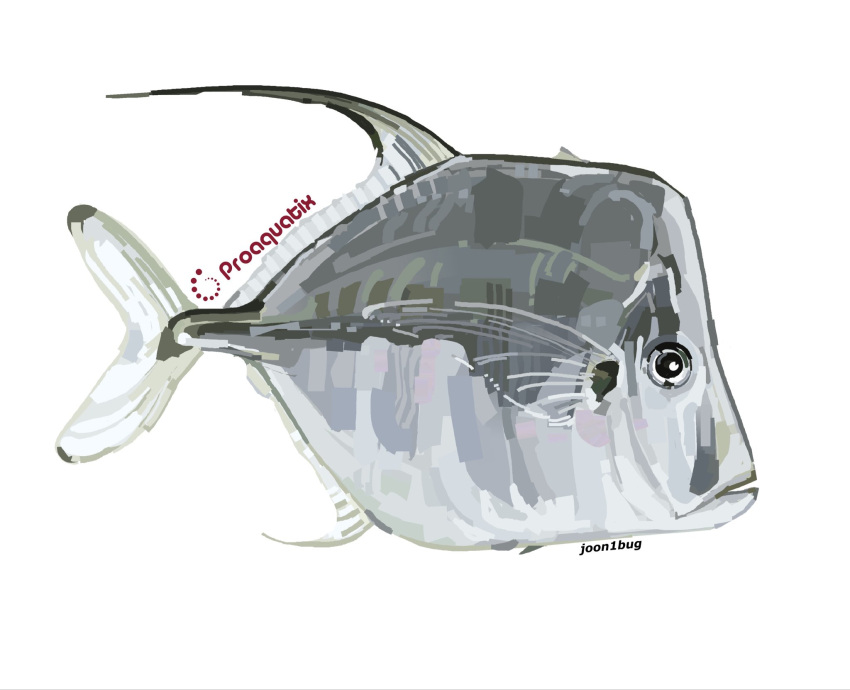 Safebooru - animal focus commentary commission english commentary fish ...