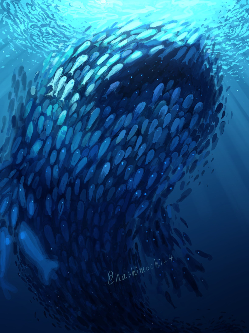 Safebooru - animal focus commentary request fish from below highres ...