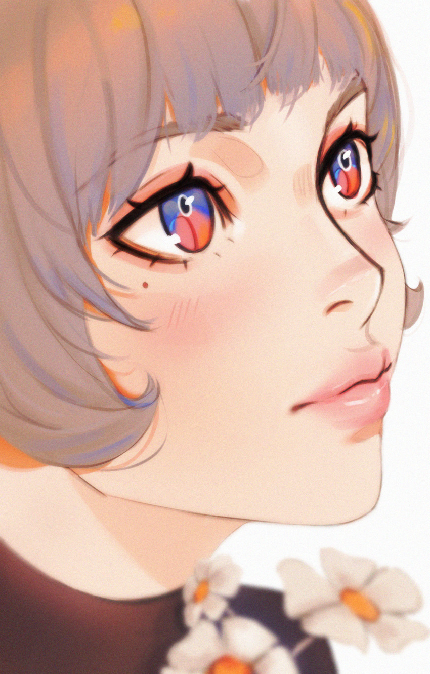 Safebooru - 1girl anihelate blue eyes blurry brown hair close-up commentary flower highres light ...