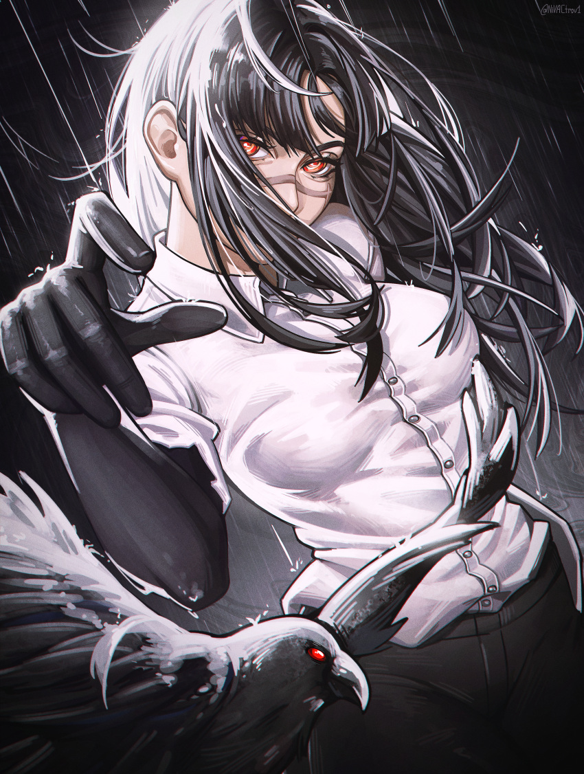 Safebooru - absurdres bird black gloves black hair black pants chainsaw man collared shirt crow ...