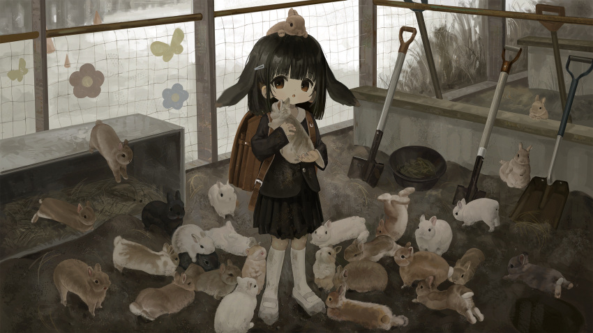 Safebooru - 1girl :o animal animal ears animal on head backpack bag black hair black jacket ...