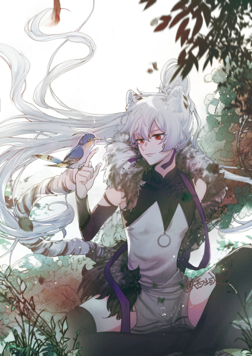 Safebooru - 1boy animal animal ear fluff animal ears artist name bird bird on hand black ...