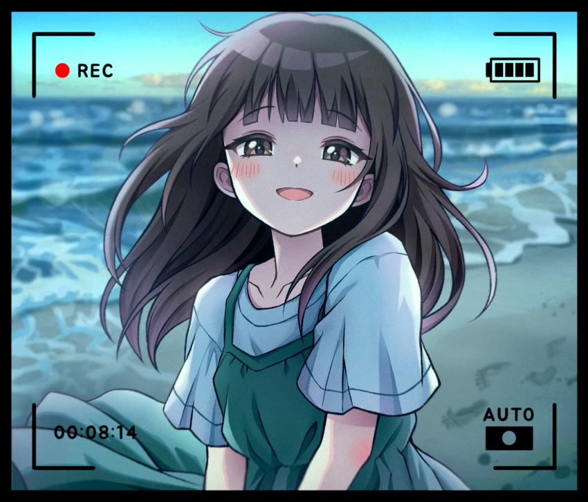 Safebooru 1girl Beach Black Hair Blunt Bangs Blush Brown Eyes 9165