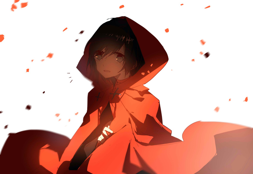 Safebooru - 1girl black hair grey eyes highres hooded cloak min (120716 ...