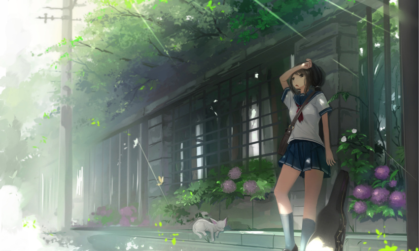 Safebooru - 1girl black hair cat highres kikivi long hair original ...