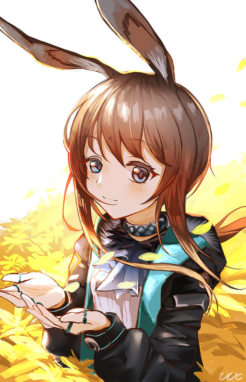 Safebooru - 1girl absurdres amiya (arknights) animal ears arknights black jacket blue eyes brown ...