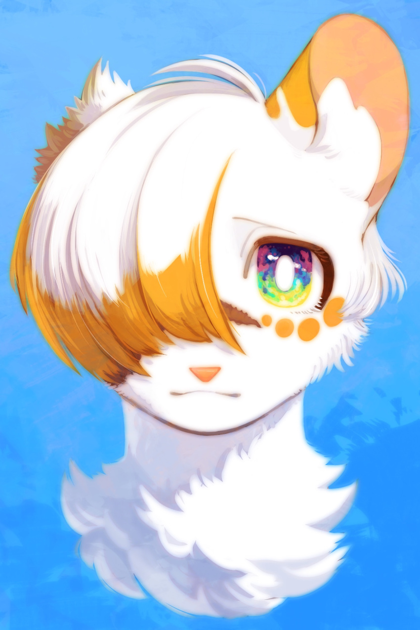 Safebooru - animal animal focus blue background bright pupils ...