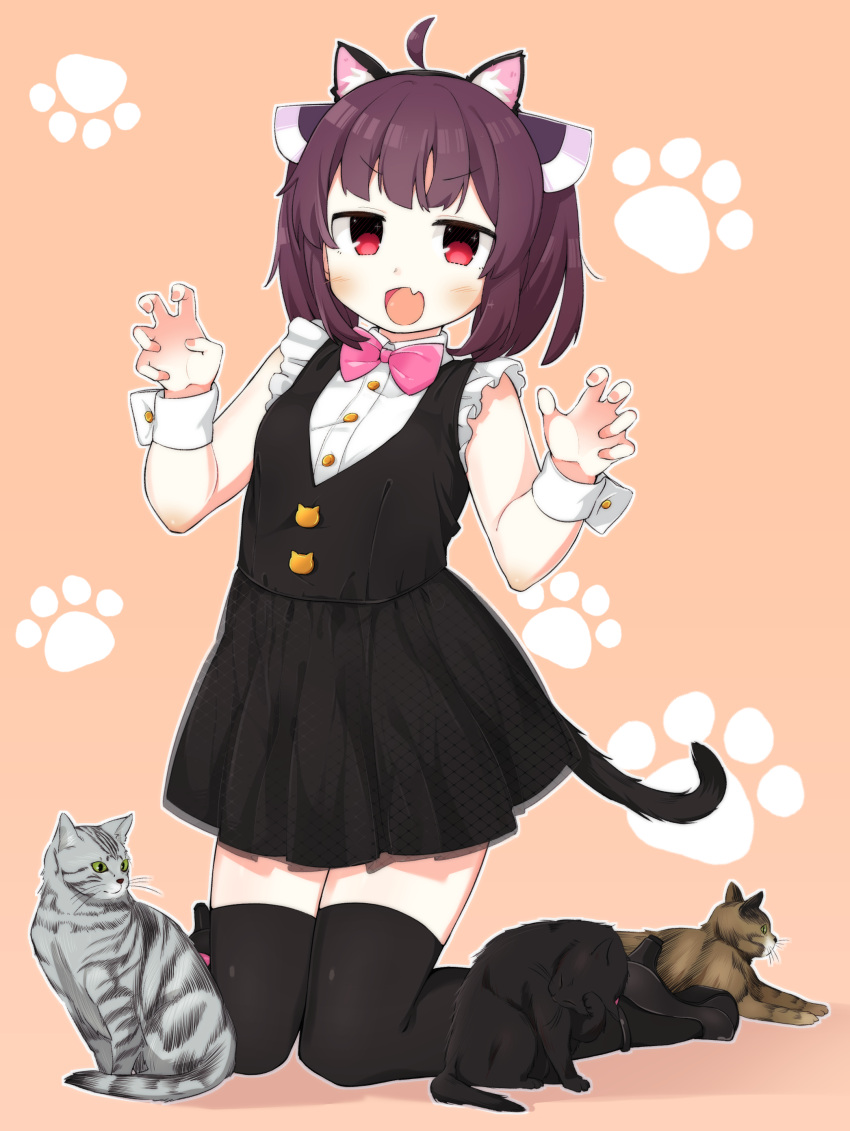 Safebooru - 1girl absurdres ahoge animal animal ears brown hair cat cat ...