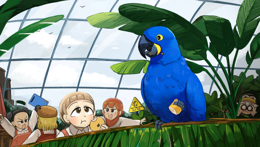 Safebooru - 5girls :d :o absurdres binoculars bird black hair blonde hair brown hair diva (hyxpk ...