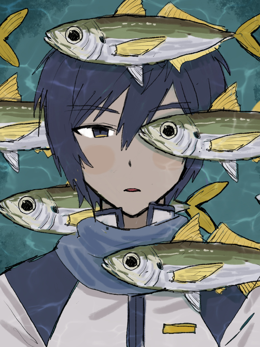 Safebooru - 1boy animal blue eyes blue hair commentary request fish ...