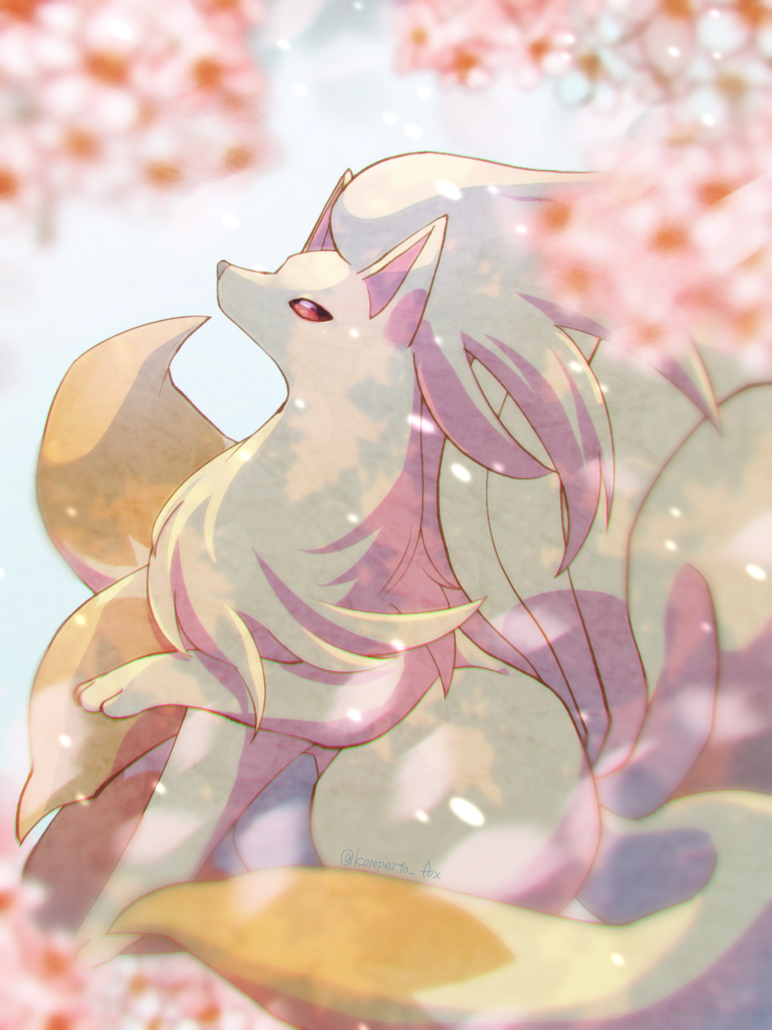 Safebooru - animal focus cherry blossoms commentary request flower highres kompeito fox looking ...