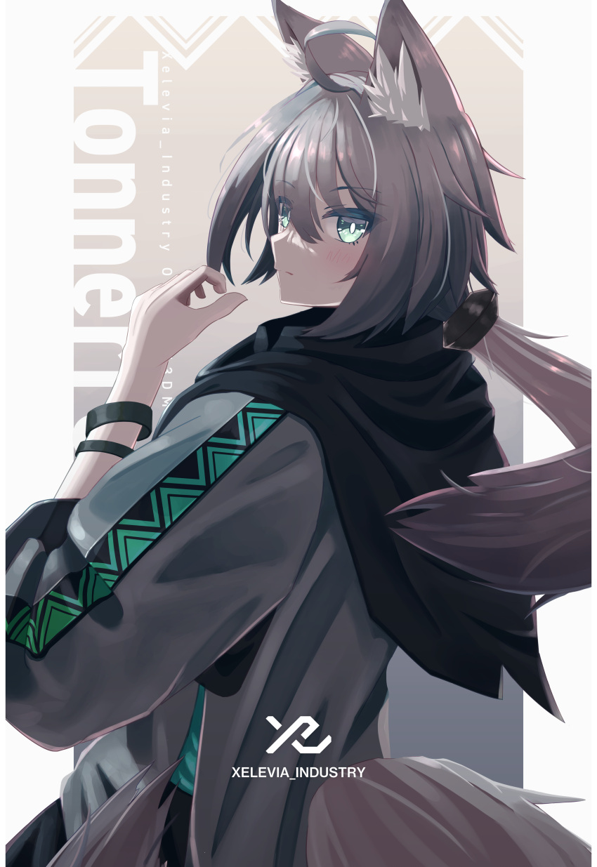 Safebooru - 1boy absurdres ahoge animal ear fluff animal ears black scarf blue eyes blush ...