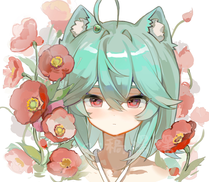 Safebooru - 1girl ahoge animal ear fluff animal ears aqua hair blush cat ears chinese commentary ...