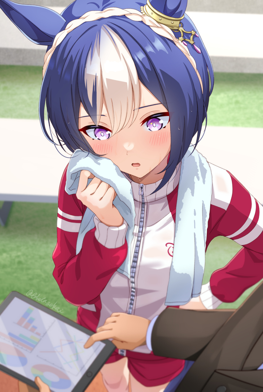 Safebooru - 1boy 1girl alternate costume animal ears blue hair blurry blush braid breasts ...