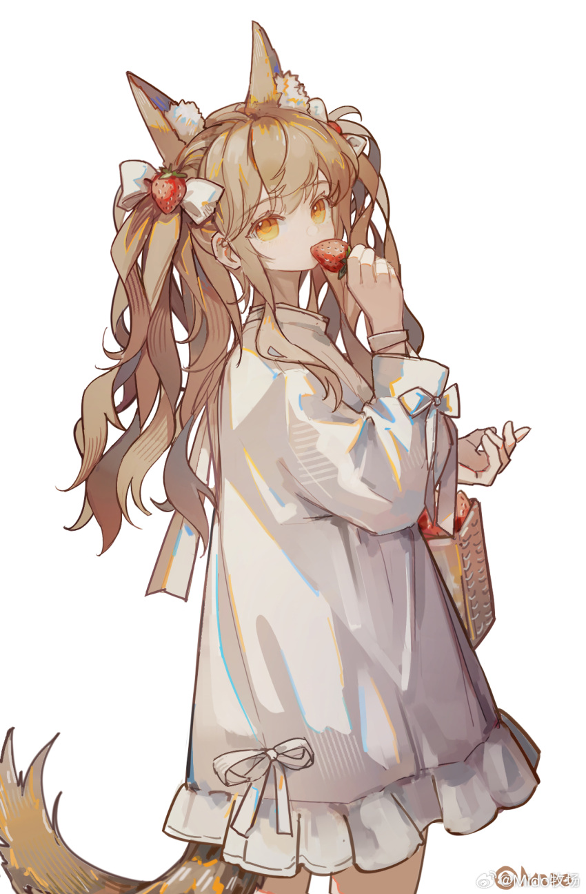 Safebooru - 1girl alternate costume angelina (arknights) animal ear ...