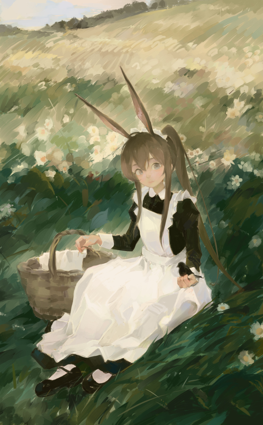 Safebooru - 1girl alternate costume amiya (arknights) animal animal ears apron arknights basket ...