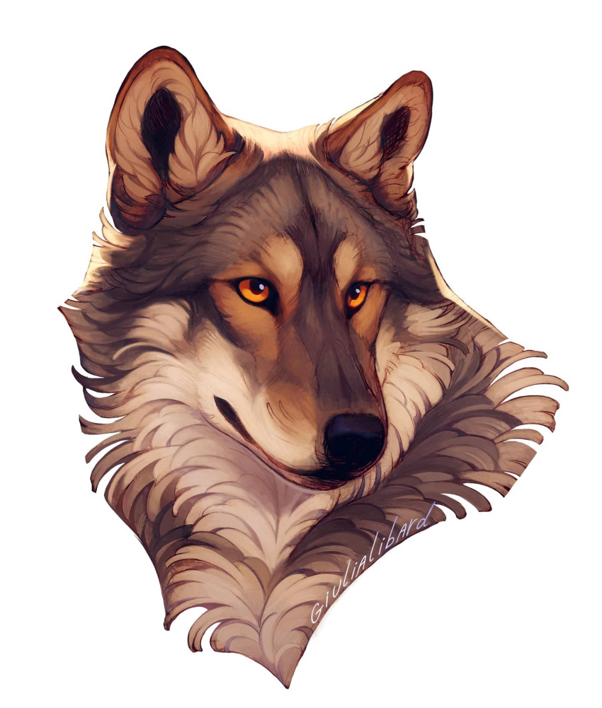 Safebooru - animal animal ear fluff animal focus cropped head ...
