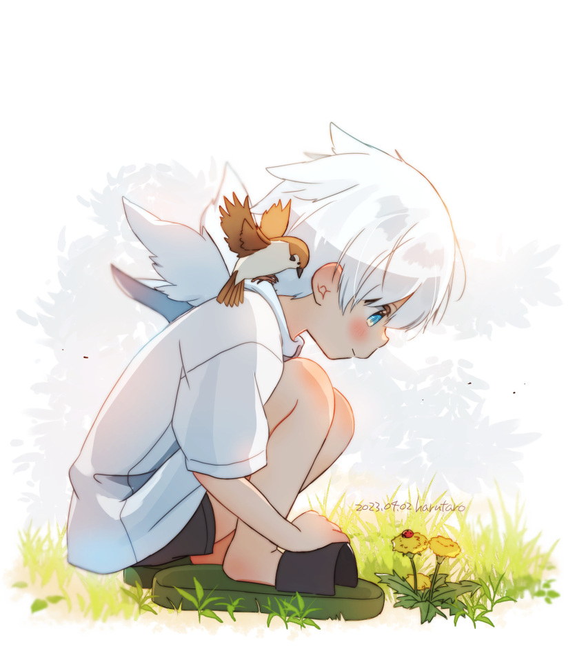 Safebooru - 1boy animal animal on shoulder artist name bird bird on shoulder black shorts blue ...