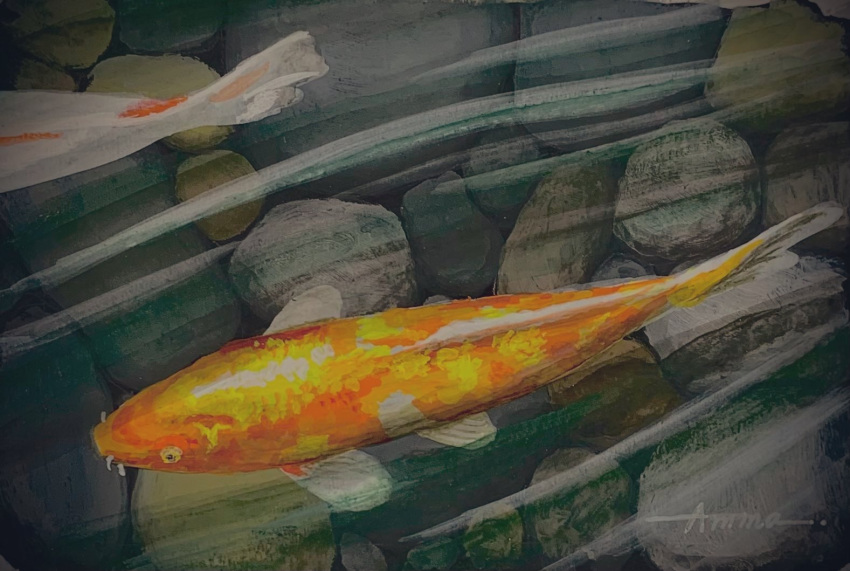 Safebooru - animal animal focus fish looking to the side no humans ...