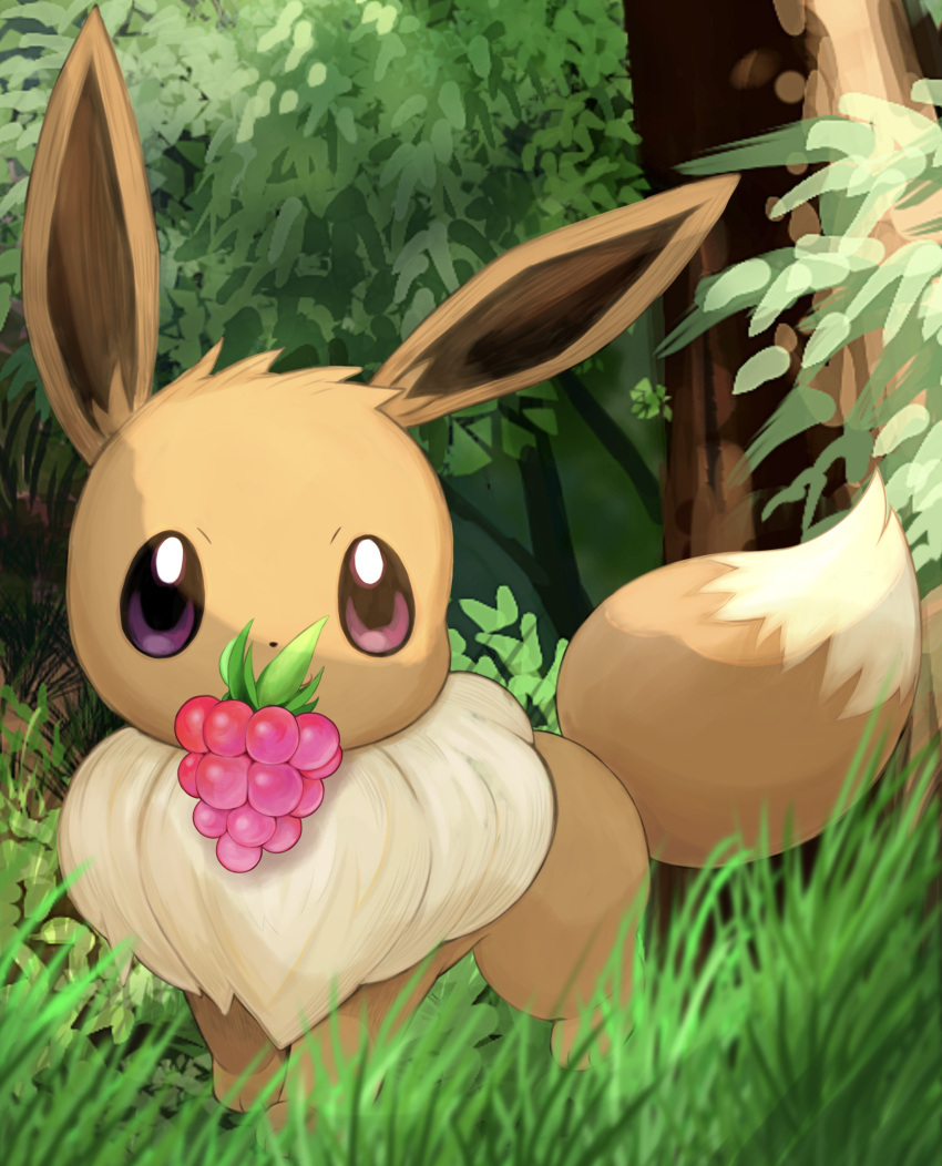 Safebooru - absurdres animal focus berry (pokemon) bright pupils commentary eevee grass highres ...