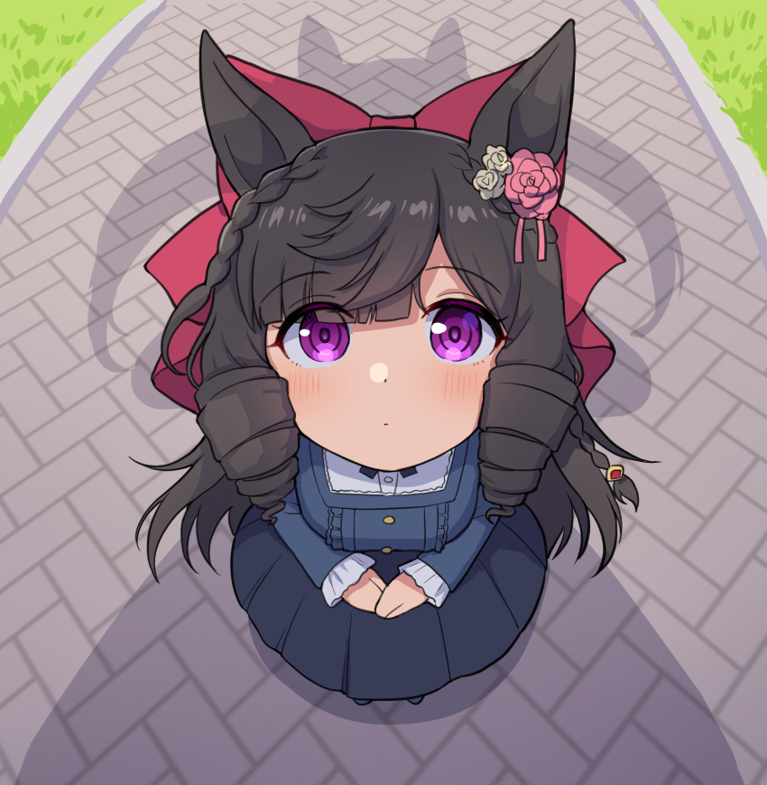 Safebooru - 1girl animal ears black hair commentary request curly hair daiichi ruby (umamusume ...