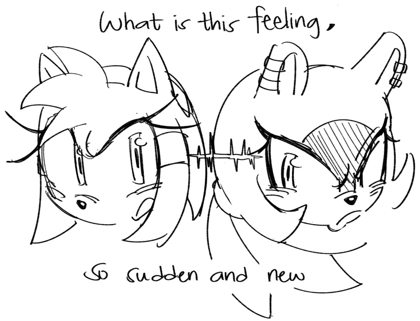 Safebooru - 2girls amy rose animal ears animal nose closed mouth commentary cropped head ...