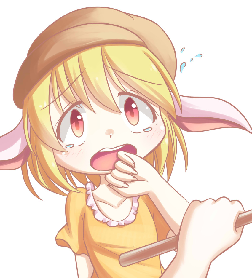 Safebooru - 1girl animal ears blonde hair dior-zi hat out of frame ...
