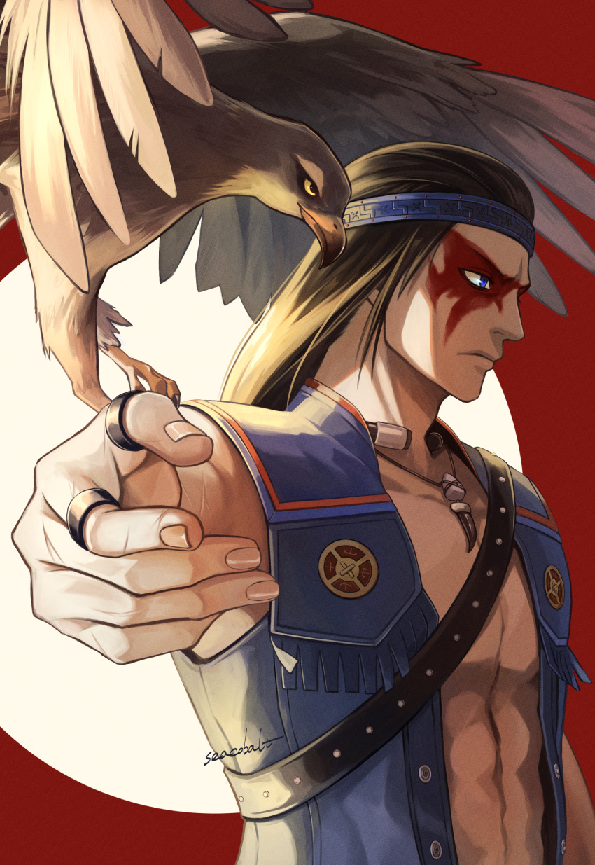 Safebooru - 1boy animal on arm bird bird on arm black hair blue eyes ...