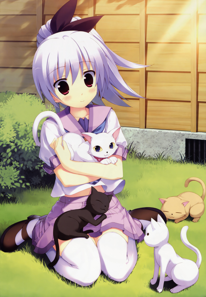 Safebooru - 1girl absurdres cat flat chest hidamari basket highres kiba ...