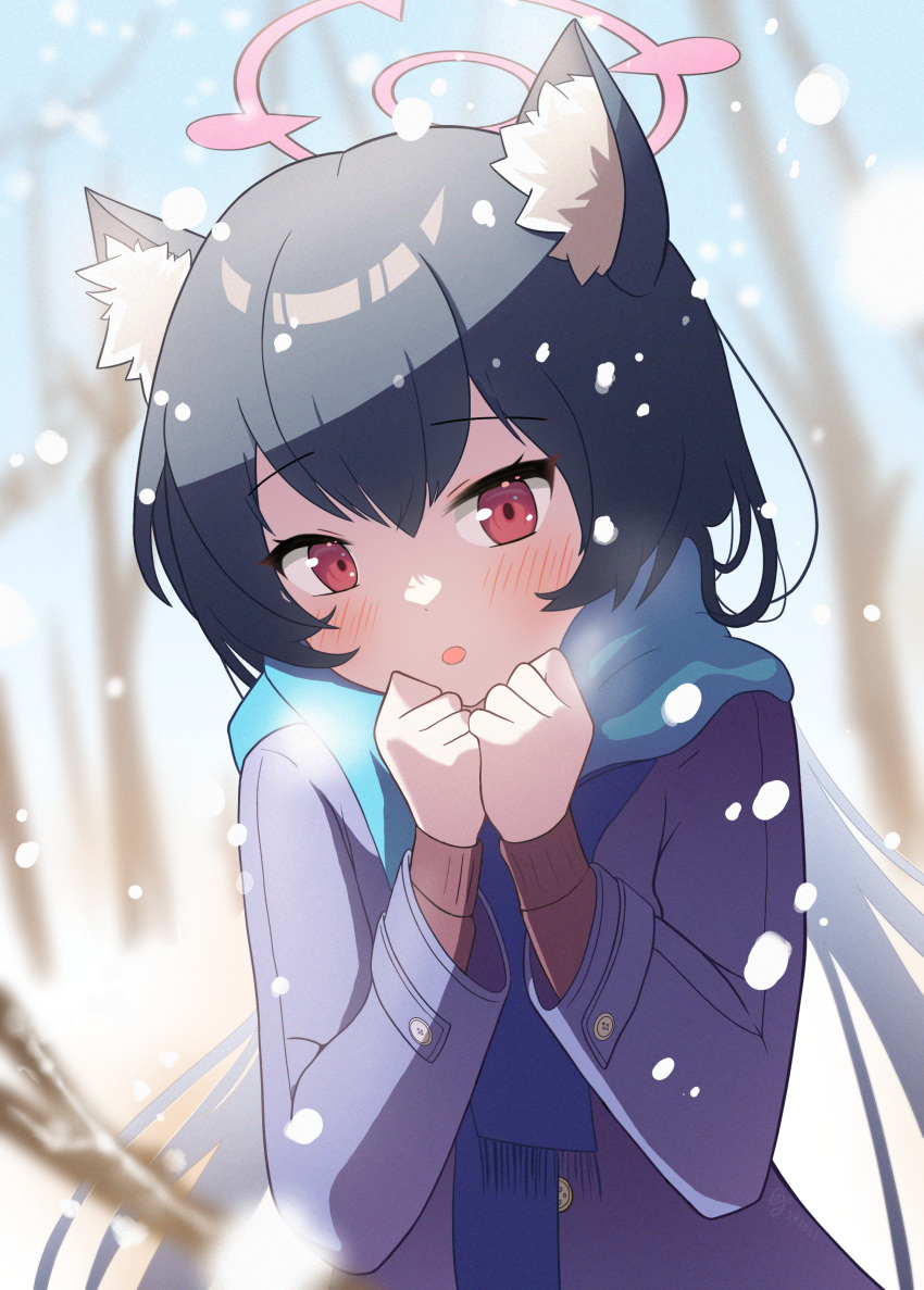 Safebooru - absurdres animal ears blue archive cat ears highres owl ...