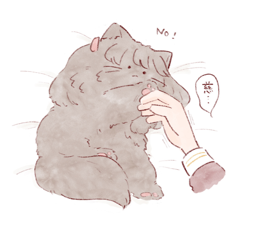 Safebooru - 1girl animal animal focus animalization cat commentary ...