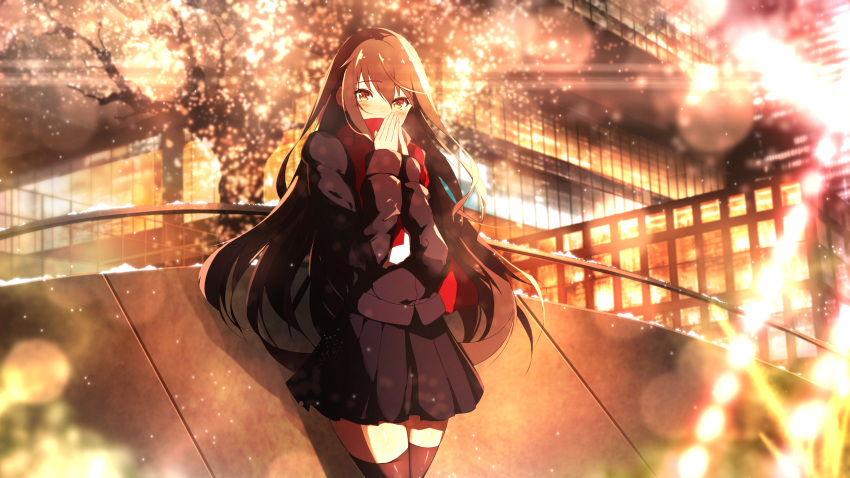 Safebooru 1girl Black Legwear Blush Brown Eyes Brown Hair Ccr 2298