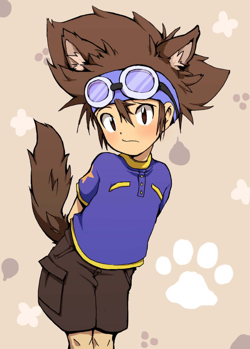 Safebooru - 1boy animal ears blush brown hair digimon digimon adventure ...