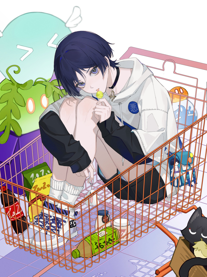 Safebooru - 1boy absurdres alternate costume animalization basket black cat black shorts black ...