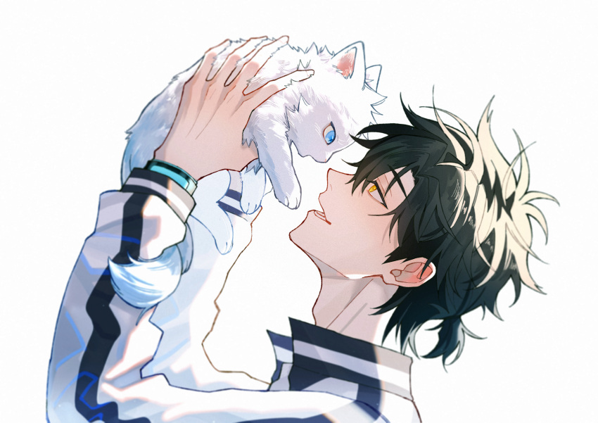 Safebooru - 1boy absurdres animal black hair blue eyes cat cheng xiaoshi from side hair between ...