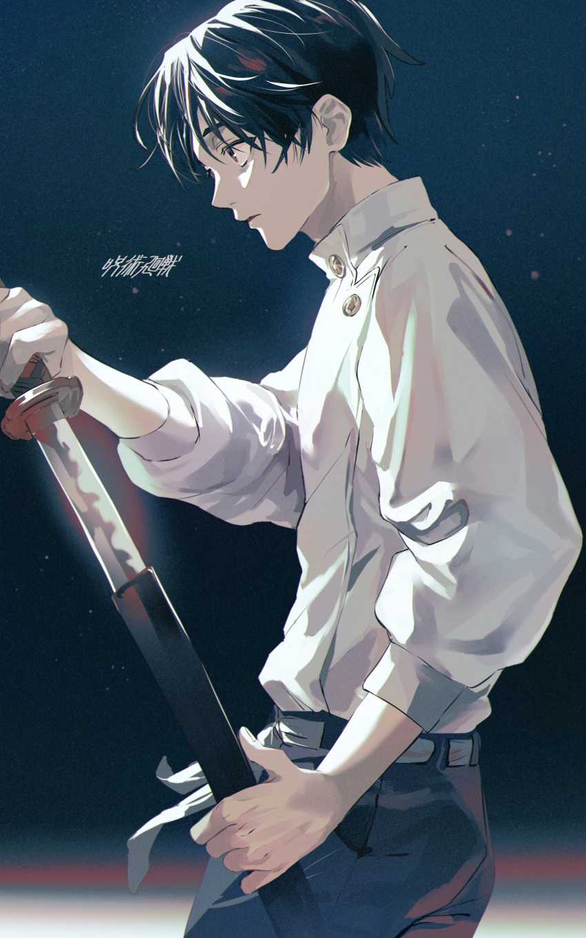 Safebooru - 1boy absurdres black eyes black hair from side high collar ...